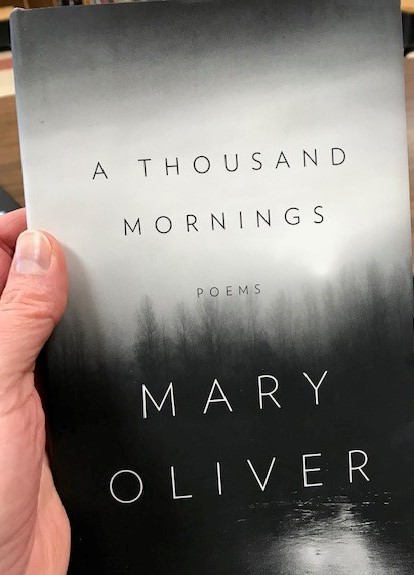 Poetry Friday: Mary Oliver | Reflections on the Teche