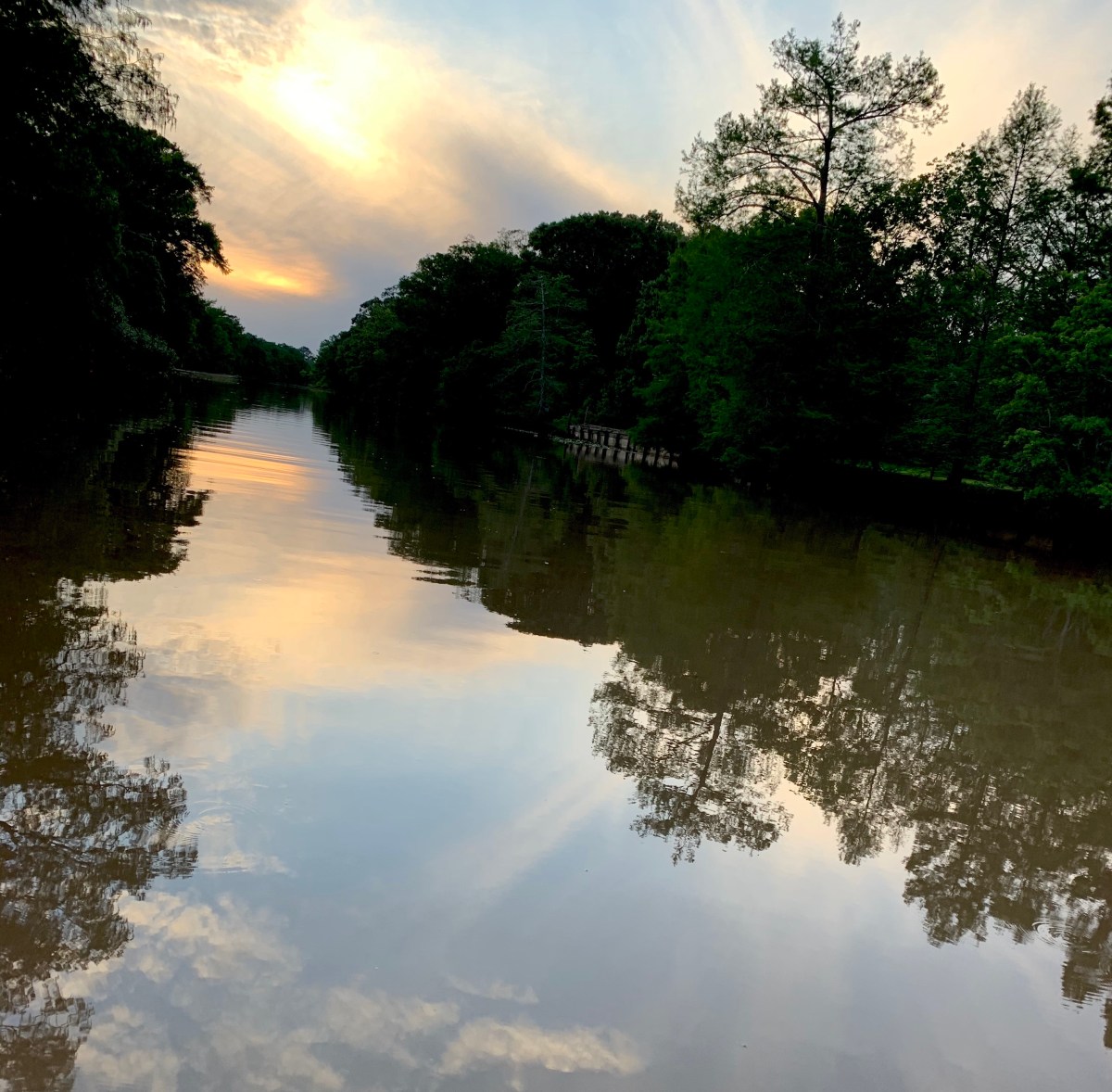 Poetry Friday: Enjambed Life | Reflections on the Teche