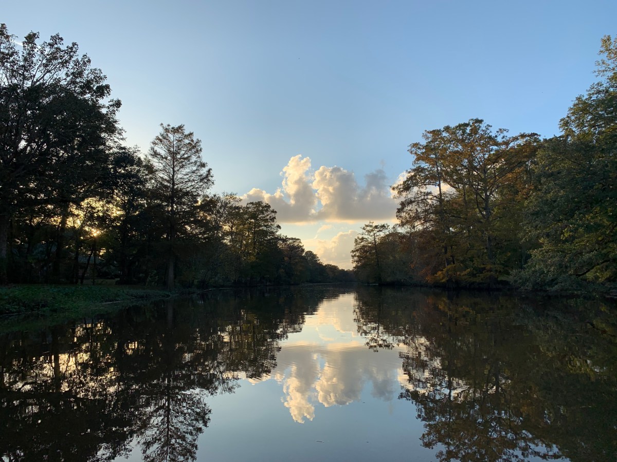 Poetry Friday: Bayou Being Green | Reflections on the Teche