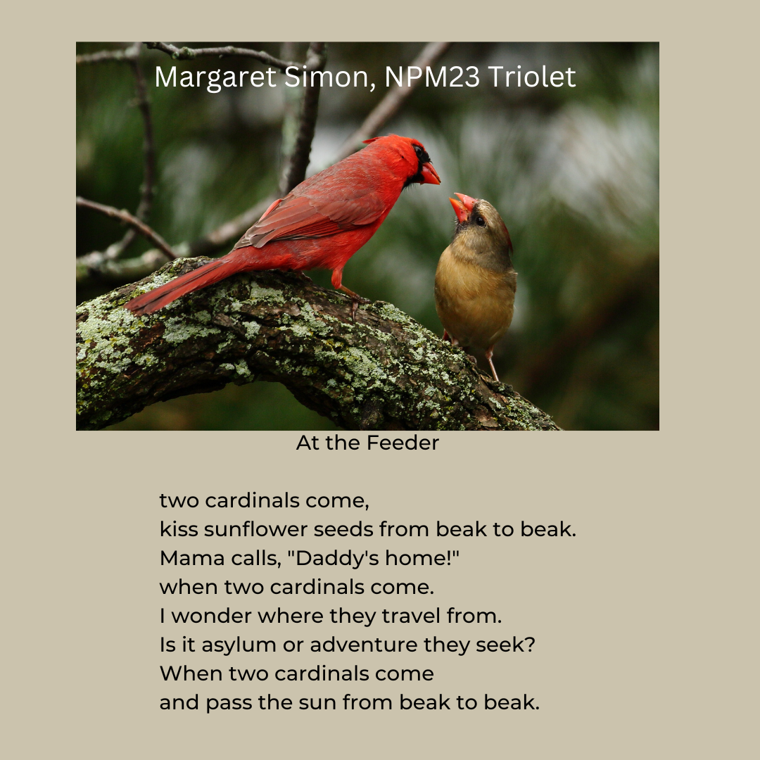 NPM23 Day 18: At the Feeder Triolet | Reflections on the Teche