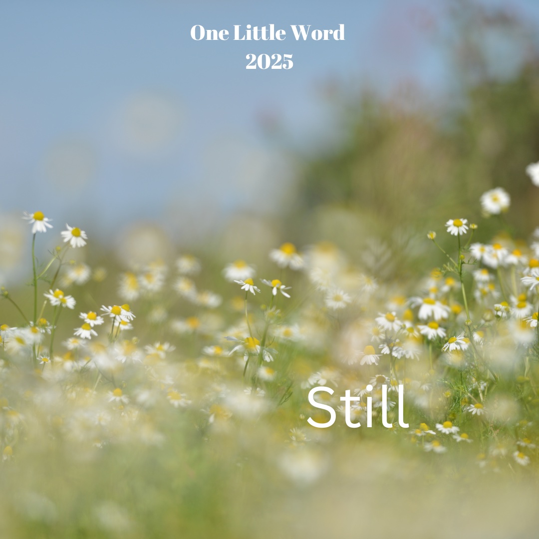 Reflections on the Teche | Reflections and poems about life on the bayou