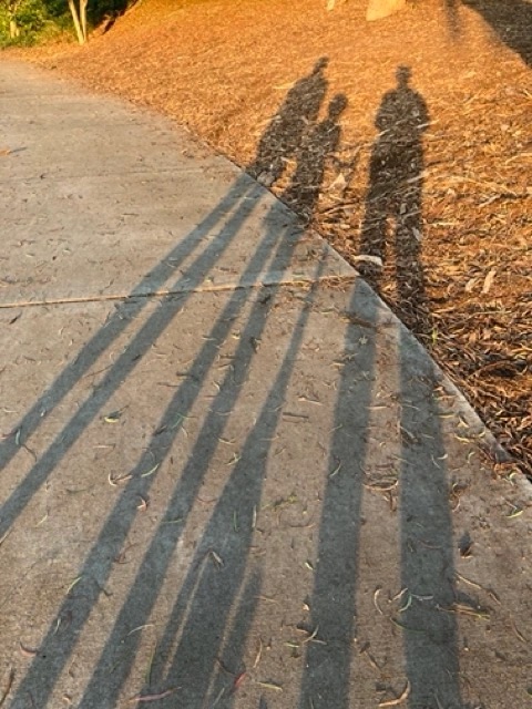 This Photo Wants to be a Poem: Shadow Triptych | Reflections on the Teche